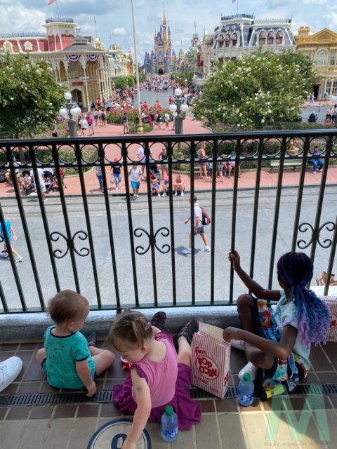 Private VIP Tours at Walt Disney World