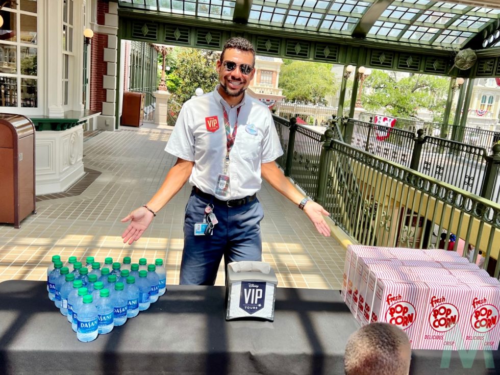 Private VIP Tours at Walt Disney World
